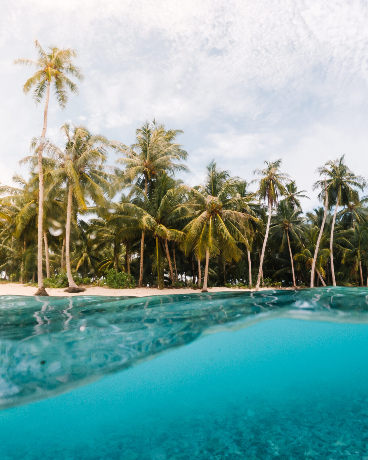 GoPro Half Underwater Dome Photos · 10 TIPS you need to know!