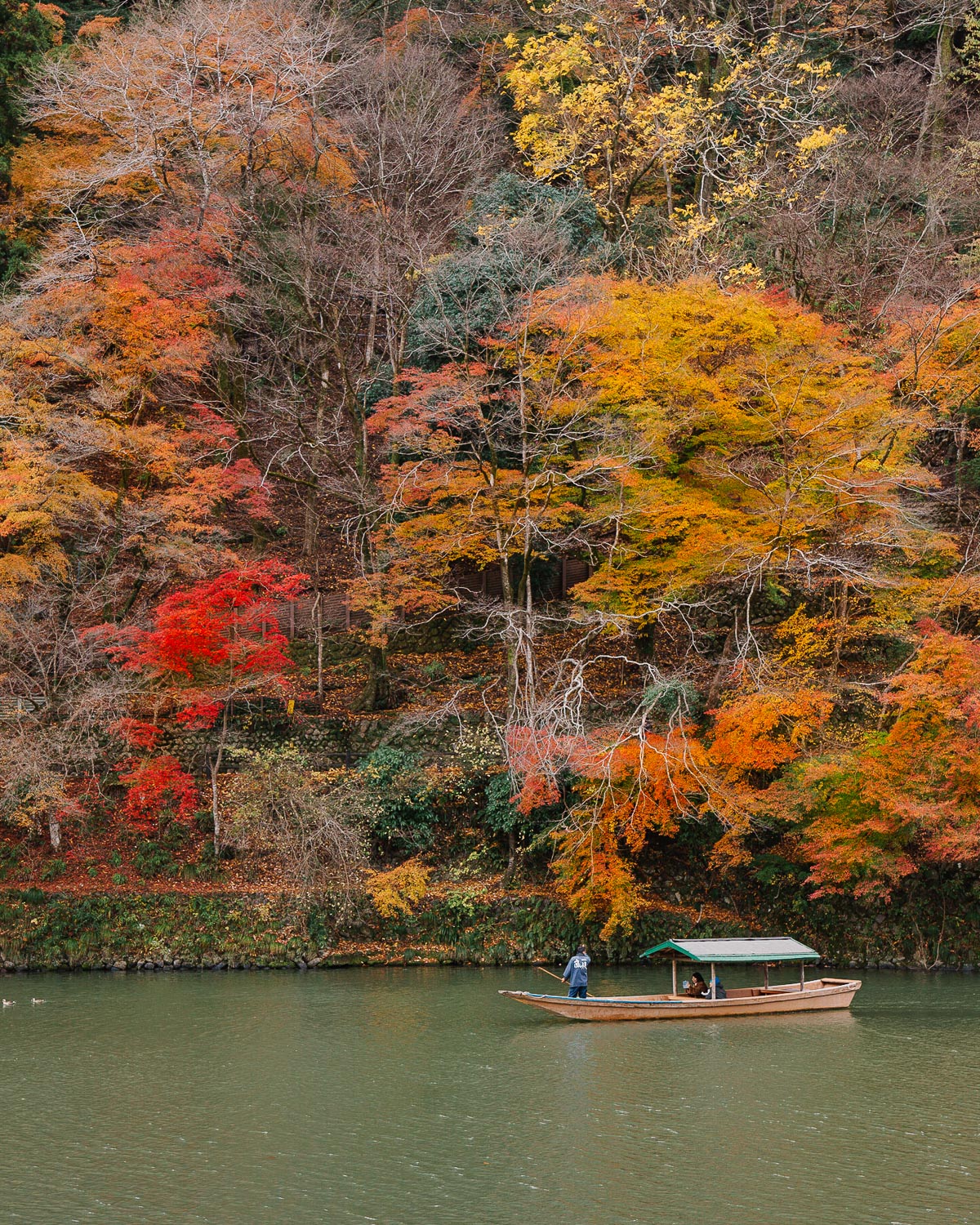 Autumn in Kyoto | Best Spots for seeing Autumn Leaves