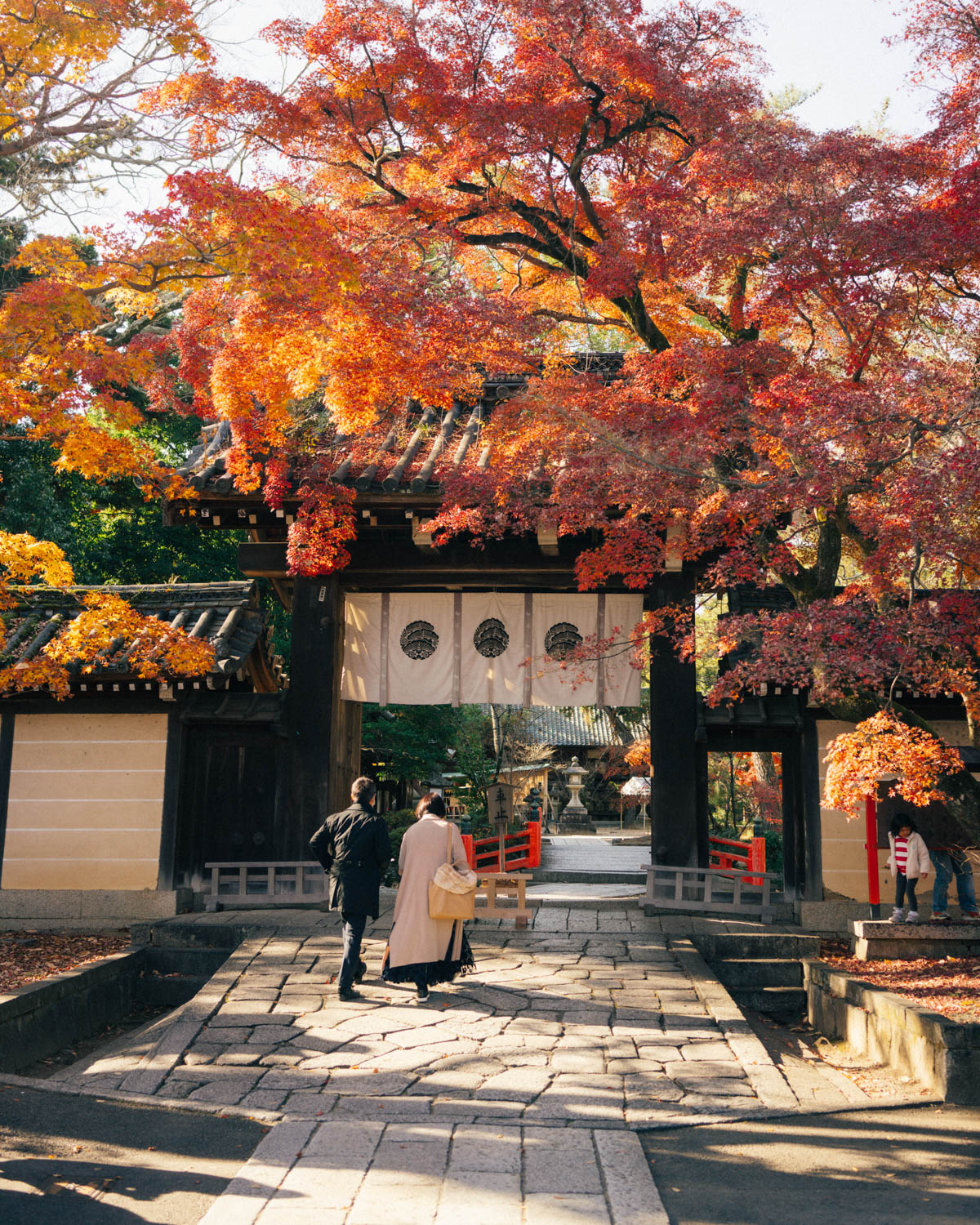 Kyoto | 20 Unforgettable Things to Do in Japan's Cultural Heart