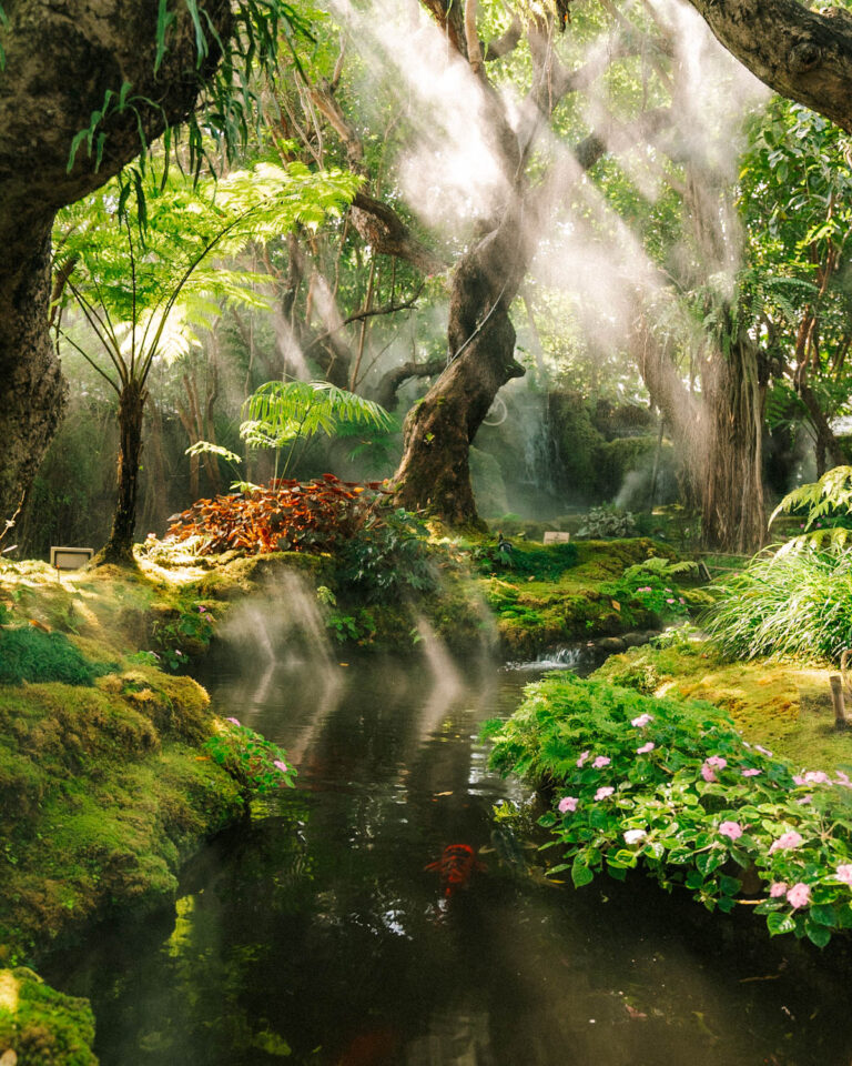 5 Photogenic Chiang Mai Cafes You Can’t Miss